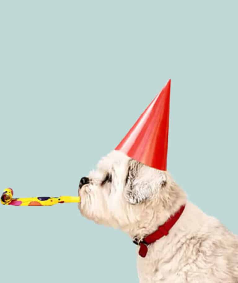 Happy Cards: Gift Cards With More Freedom And More Options